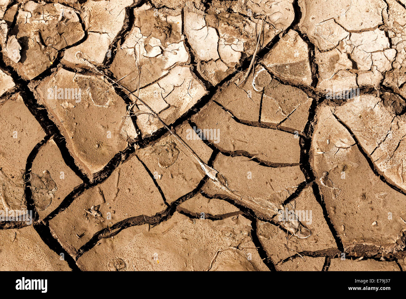 Rough soil hi-res stock photography and images - Alamy