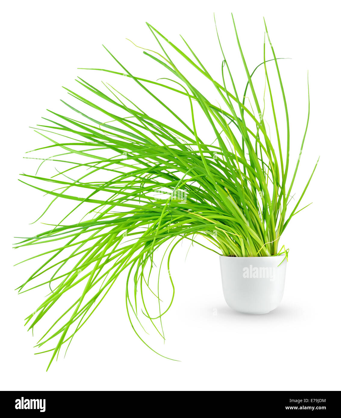 Spring one many in Cut Out Stock Images & Pictures - Alamy