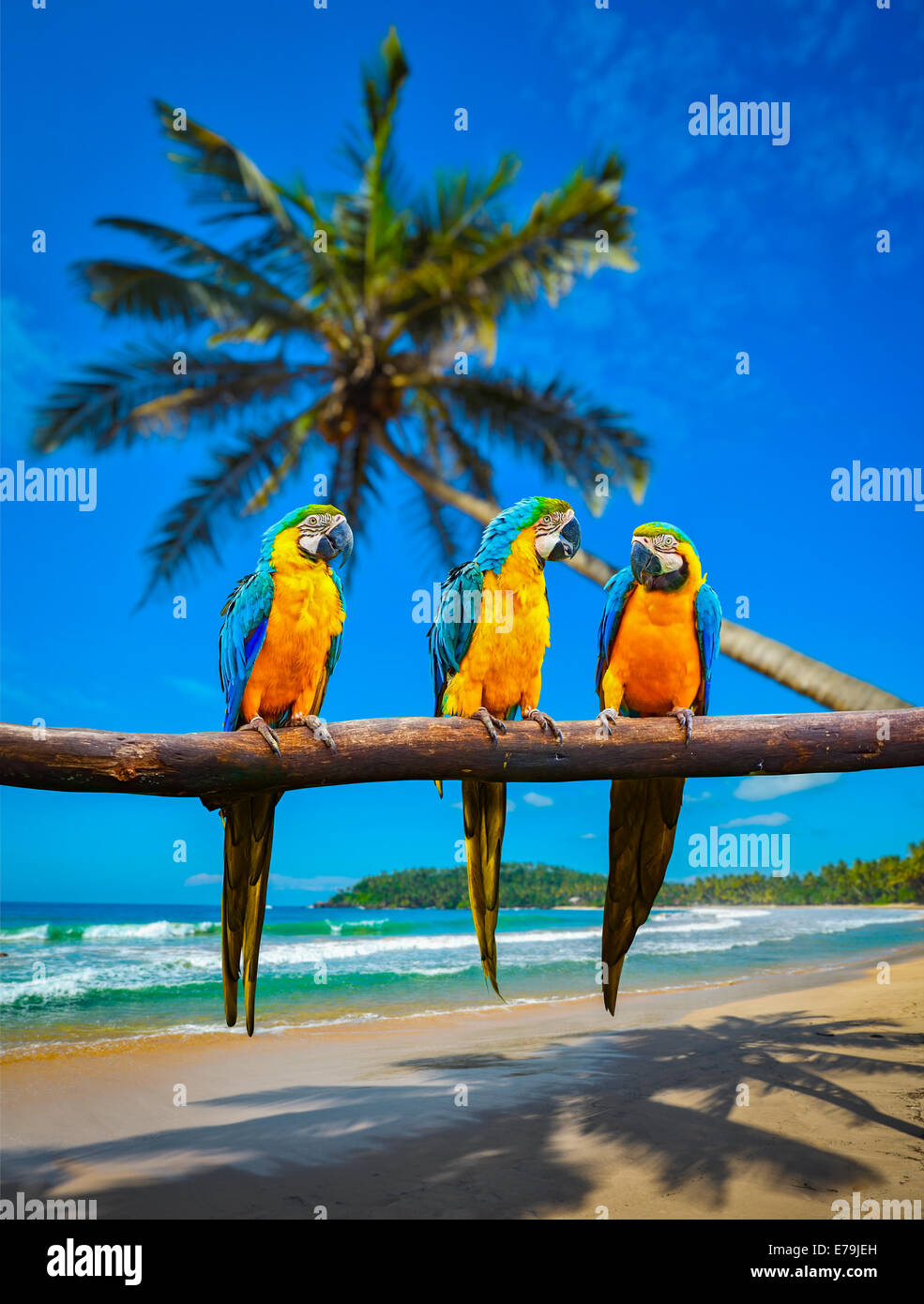 Ara beach hi-res stock photography and images - Alamy