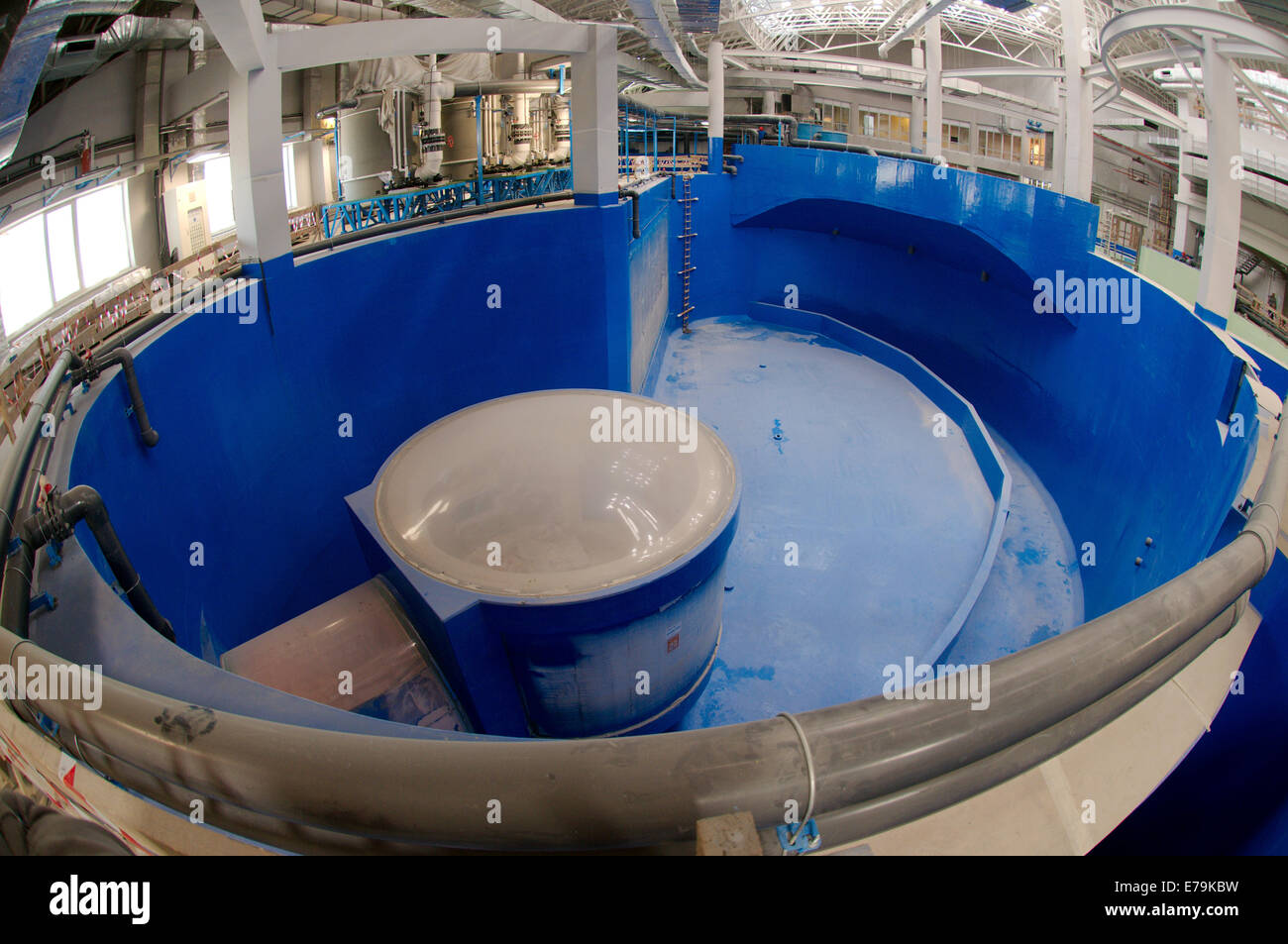 The pool at the aquarium, Vladivostok, Russky Island, Far East ...