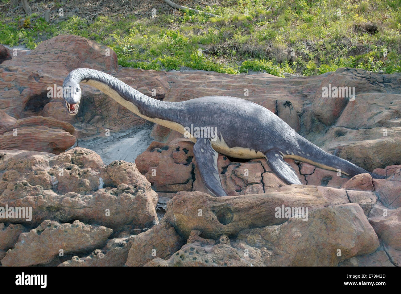 Plesiosauria High Resolution Stock Photography and Images - Alamy