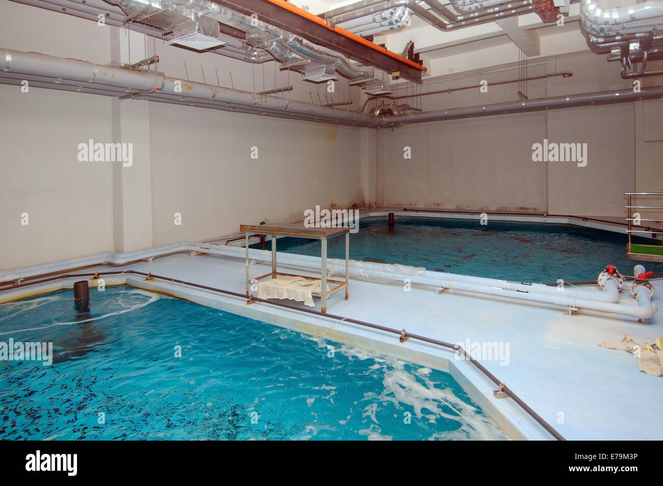 The pool at the aquarium, Vladivostok, Russky Island, Far East ...