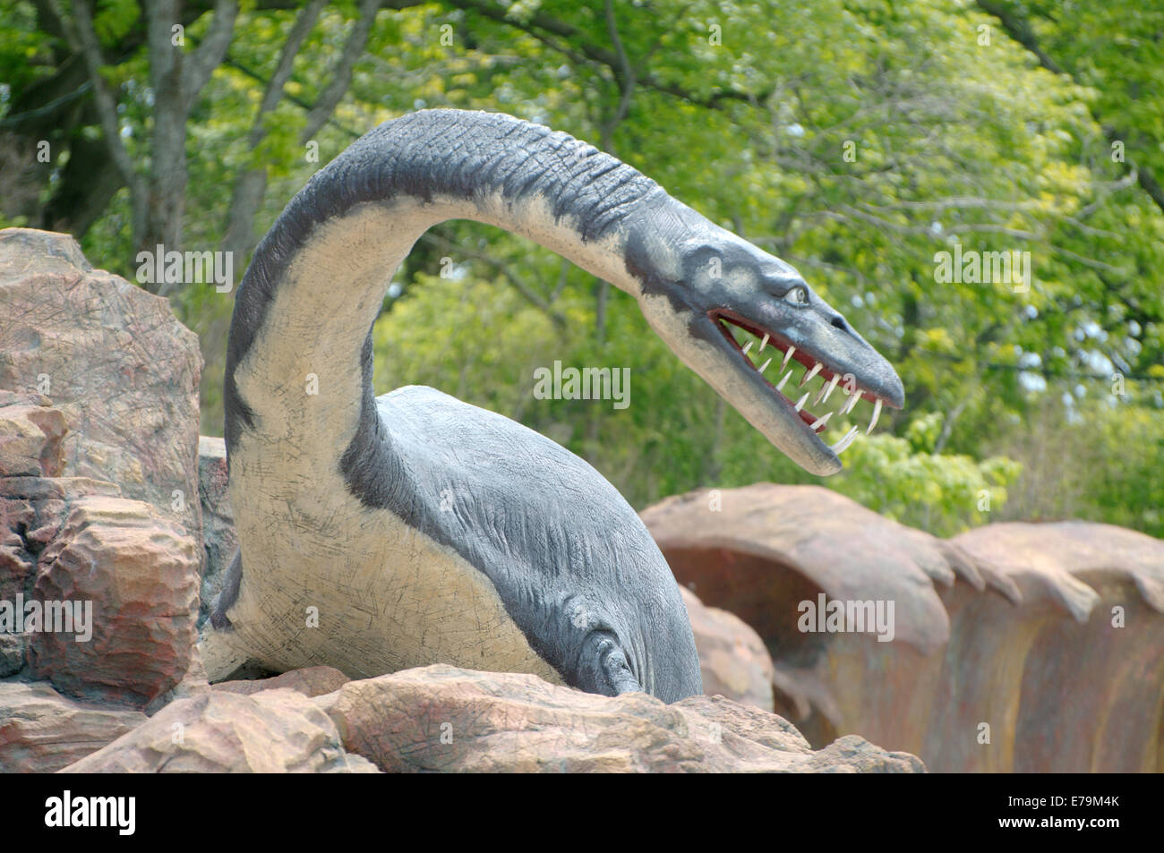 Sculpture skeleton Plesiosauria (Augustasaurus) the territory of the ...