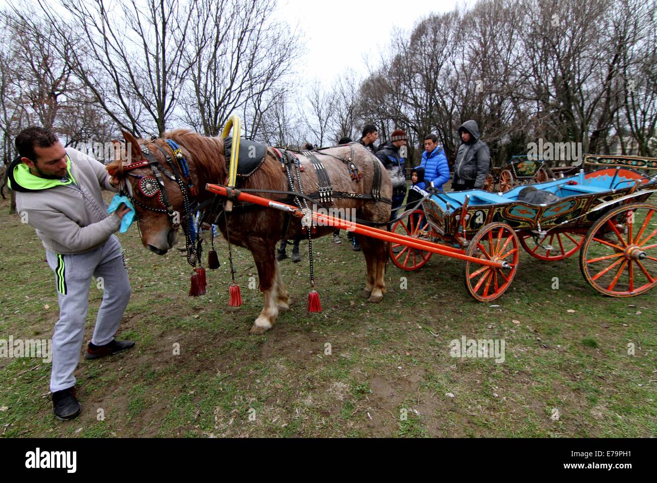 Bulgarians race with horse and cart during Todorov Den, also known as ...