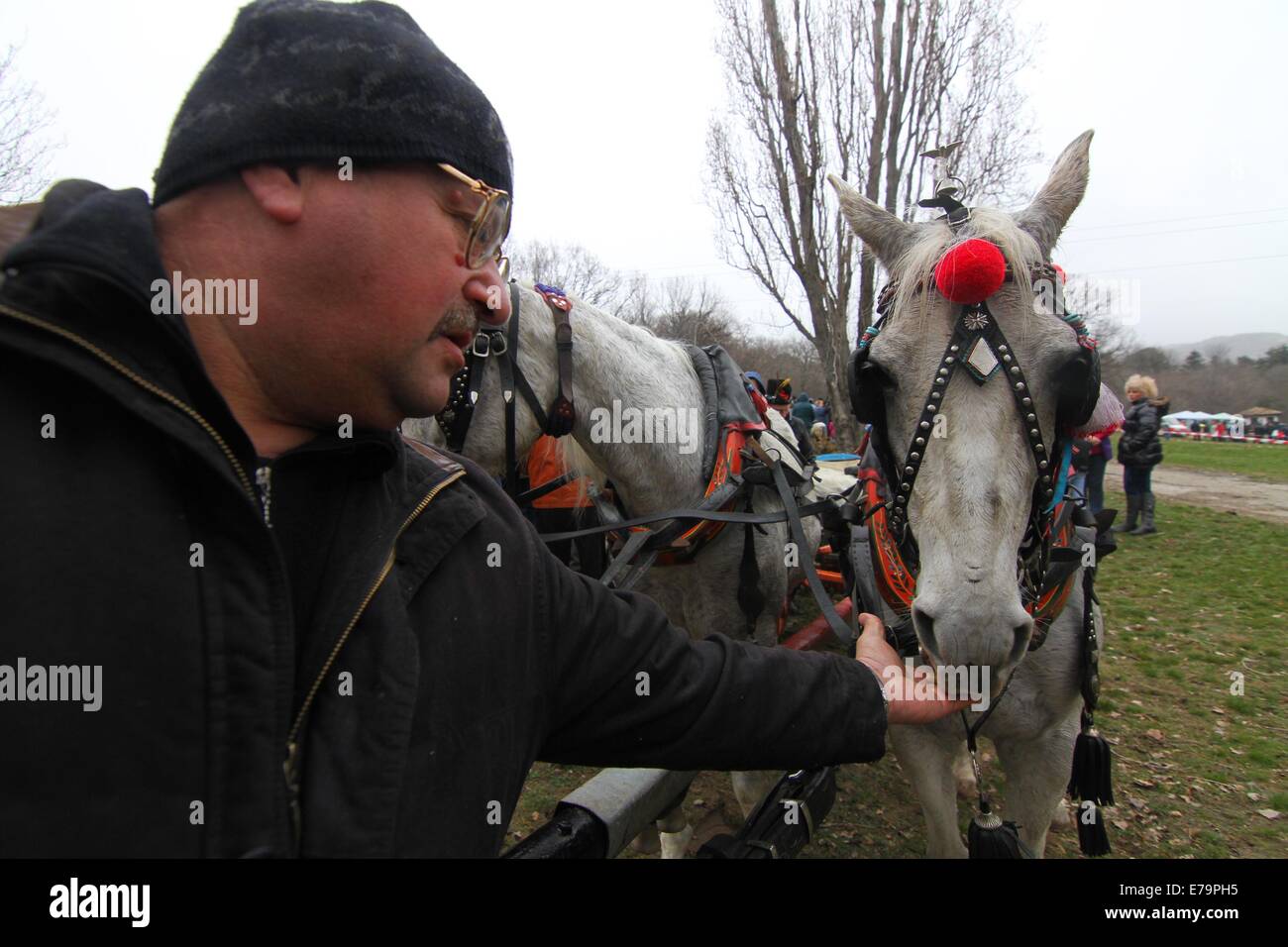 Bulgarians race with horse and cart during Todorov Den, also known as ...
