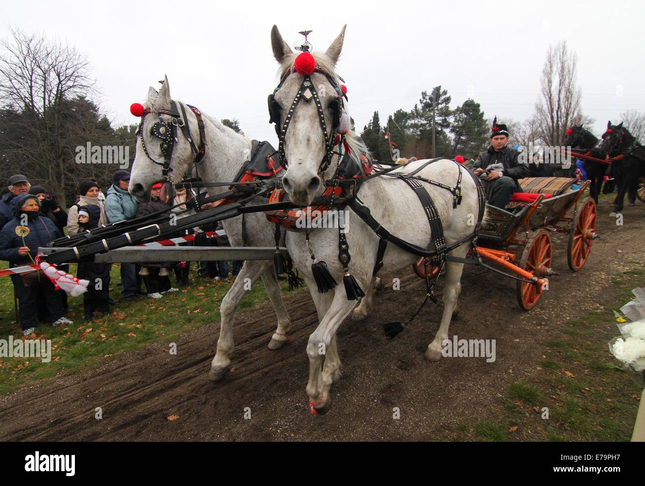 Bulgarians race with horse and cart during Todorov Den, also known as ...