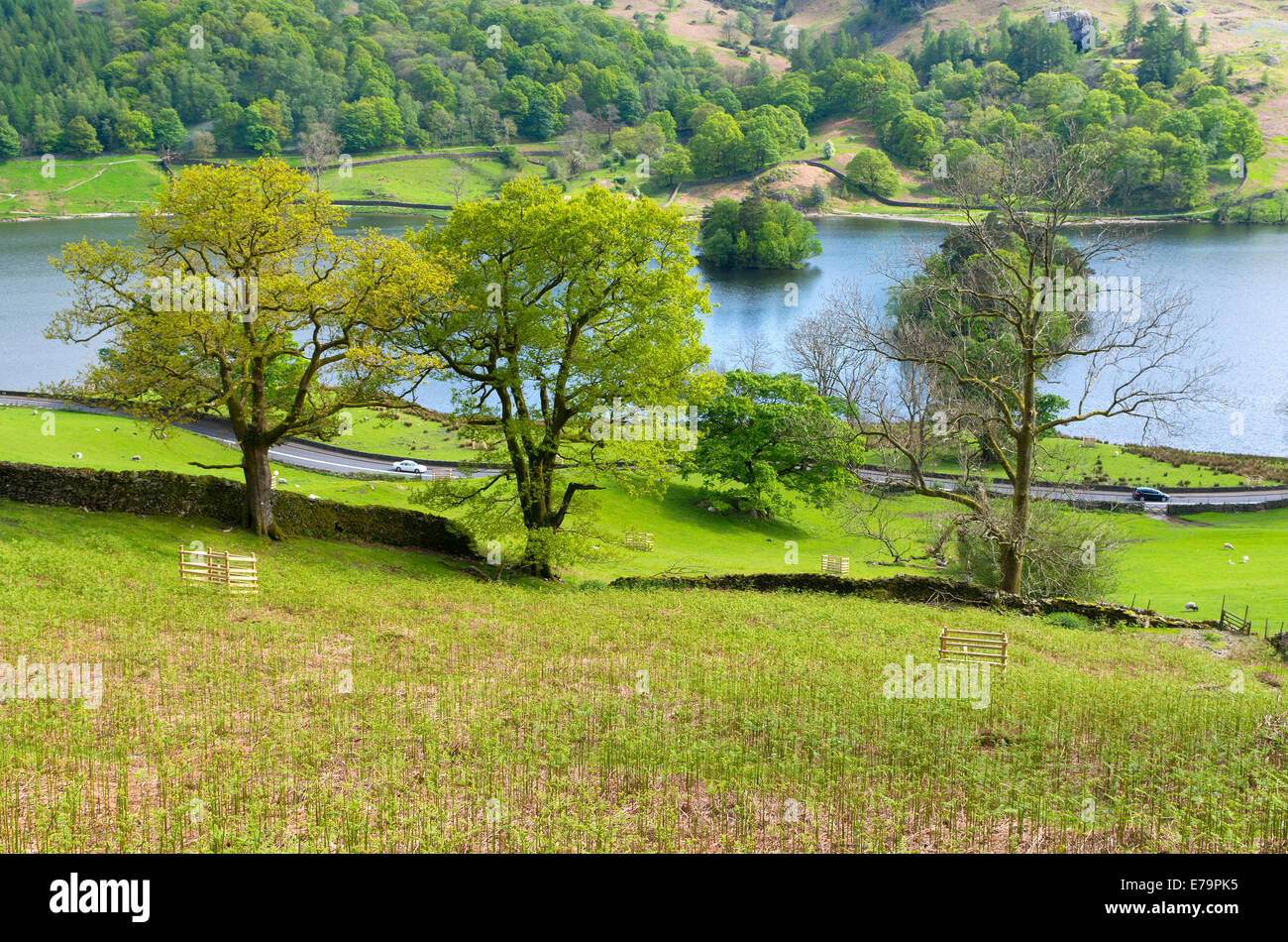 Rydal Water, Lake District National Park, Cumbria, England, UK Stock ...