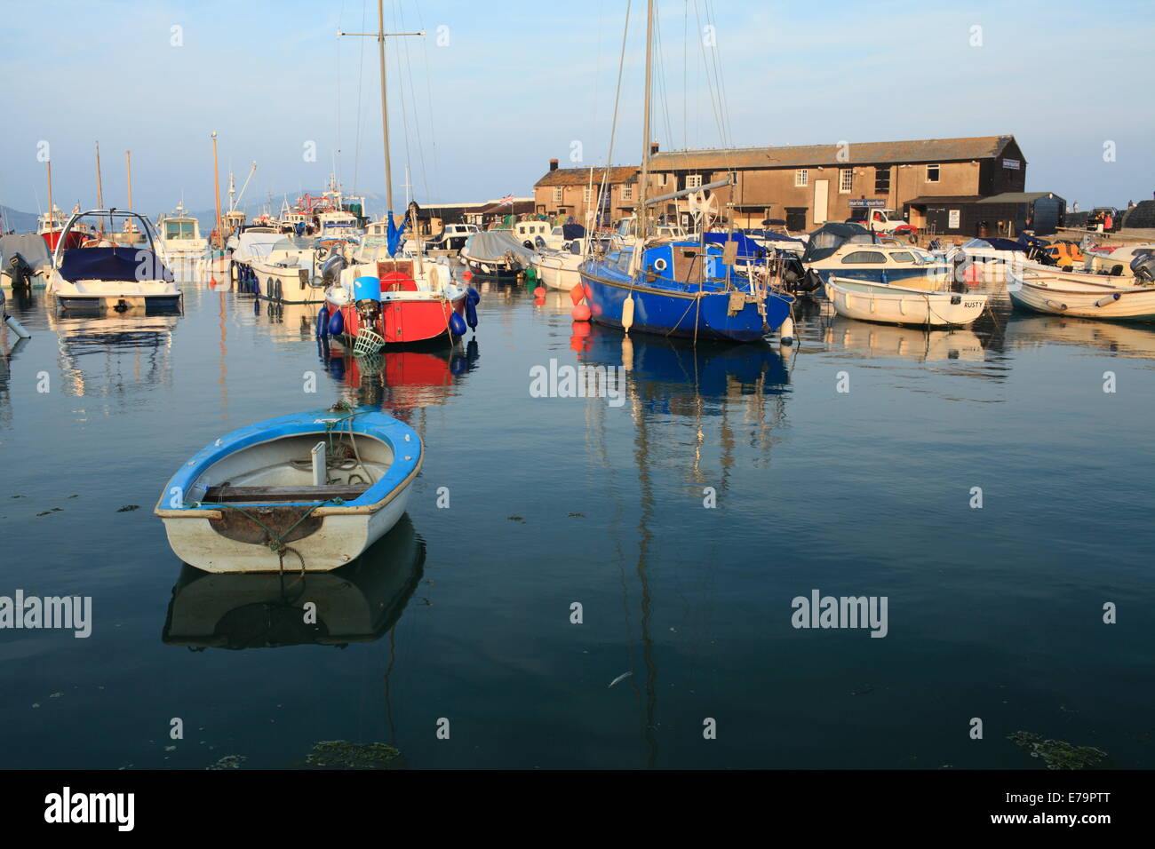 Late summer evening, Lyme Regis harbour, Dorset, England, UK Stock ...