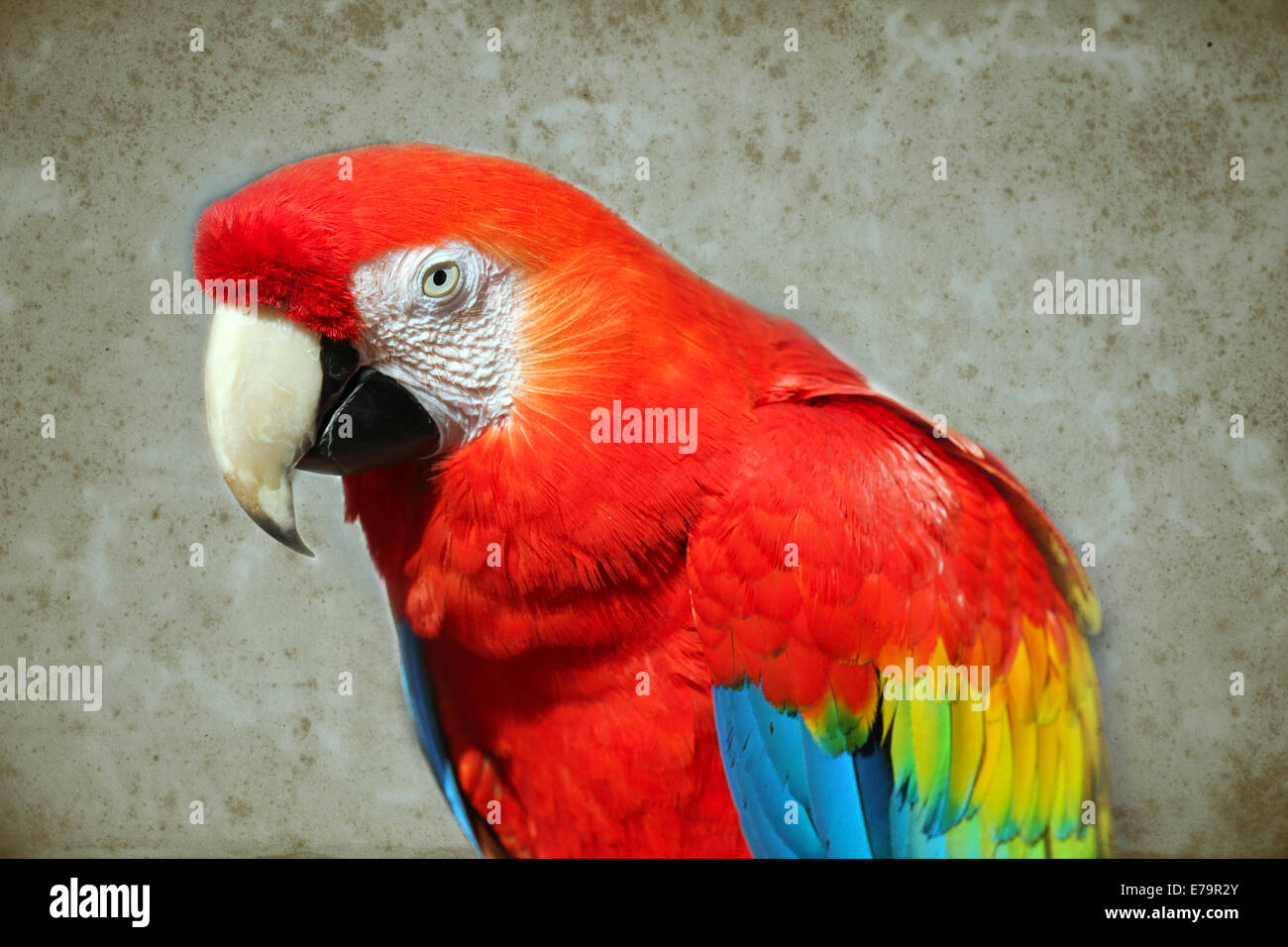 Zoo map paper hi-res stock photography and images - Alamy