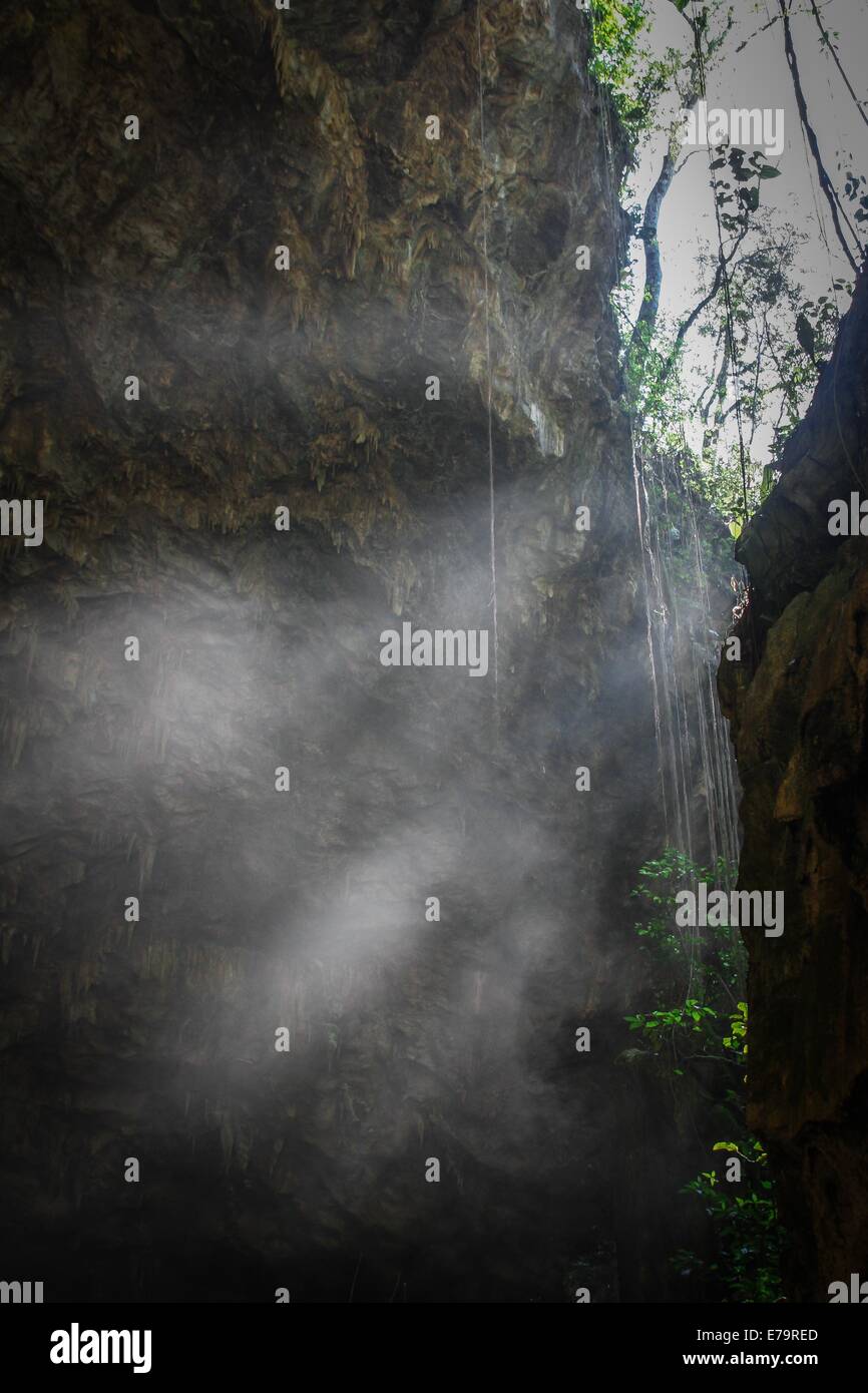 Rays of light - Shafts of sunlight caught in the mist Stock Photo - Alamy