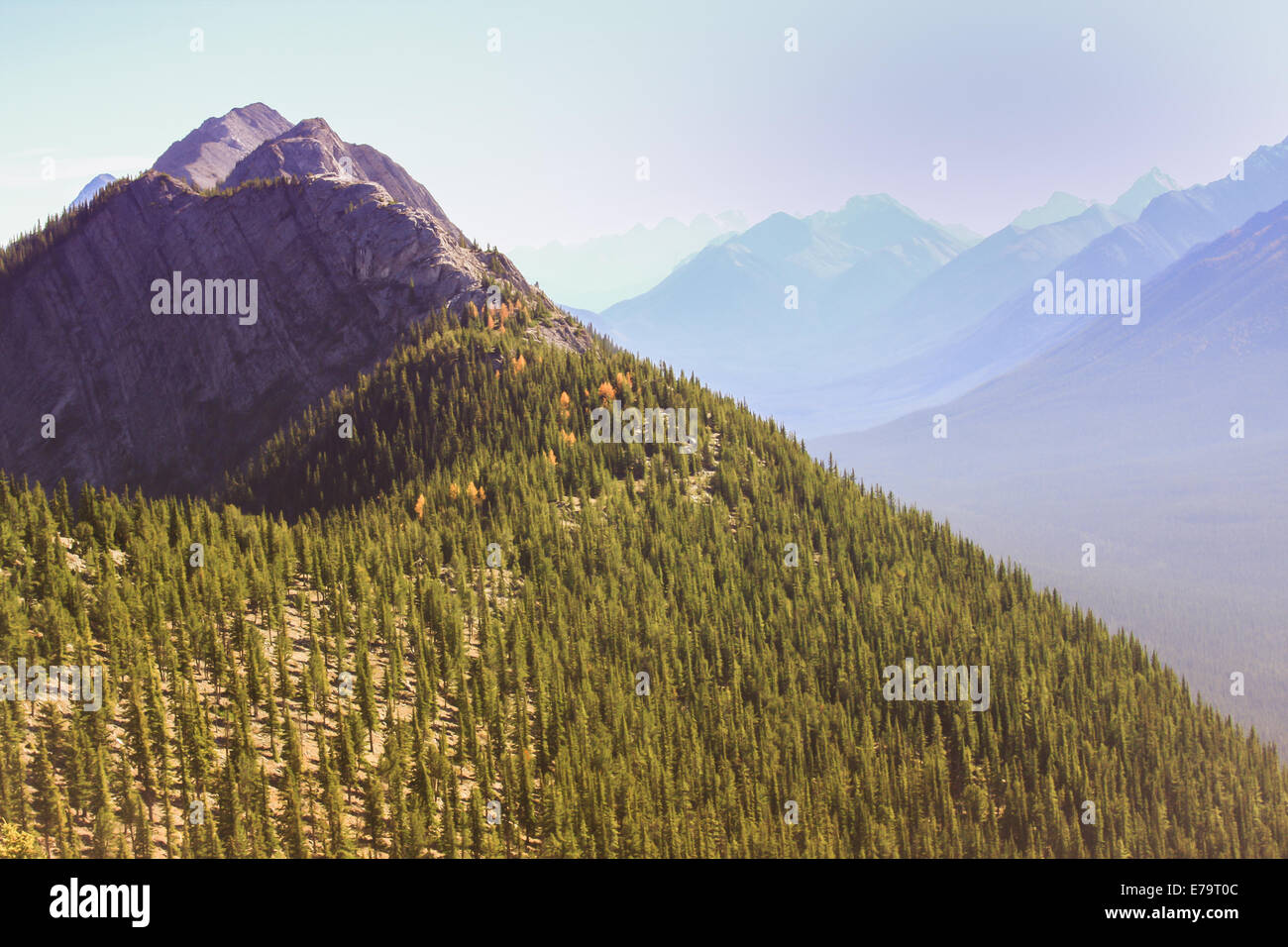 Tree covered slope- Tree covered mountain slope with further peaks in ...