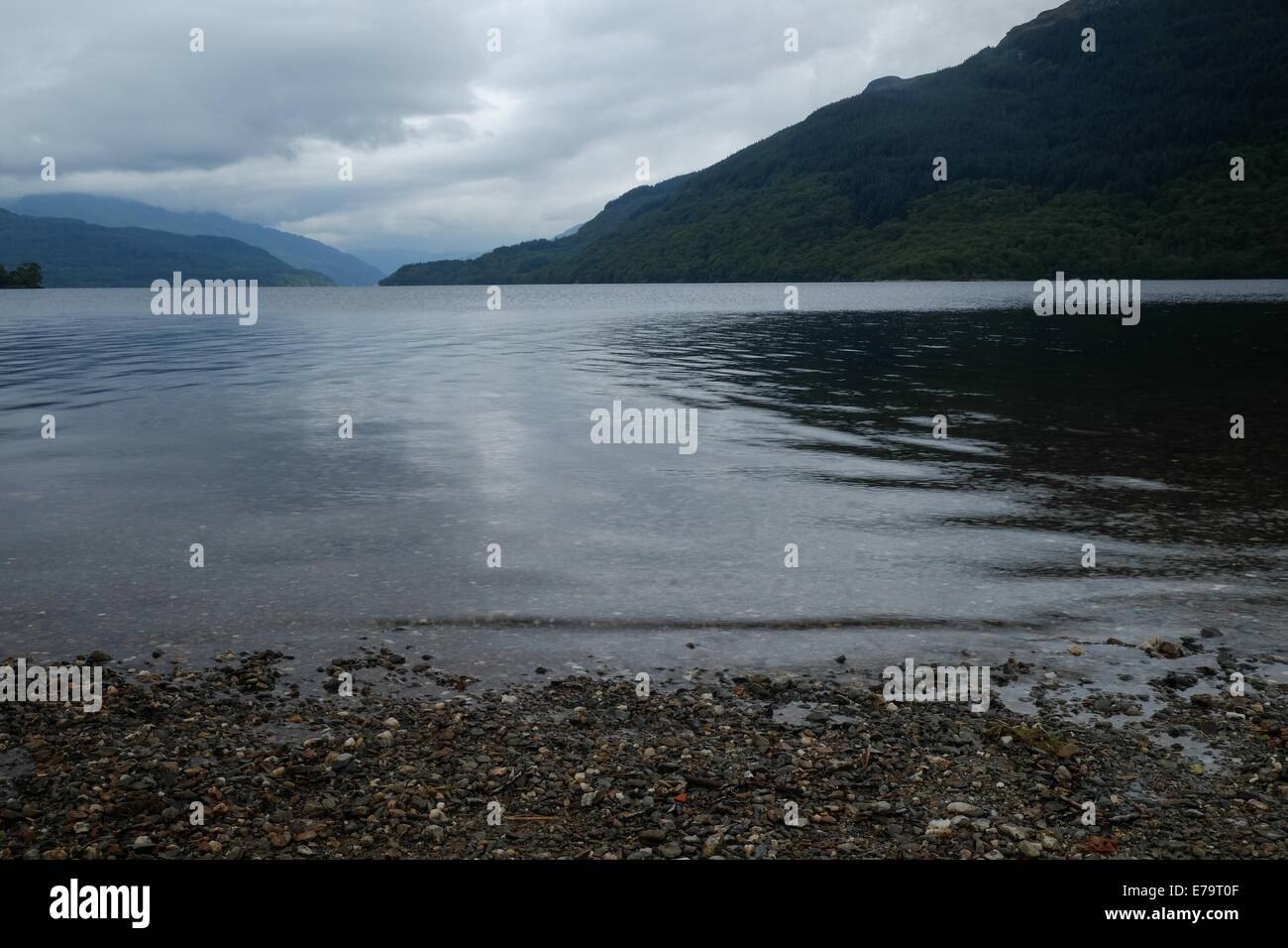 Loch shore - Stoney shoreline of a Scottish loch Stock Photo - Alamy