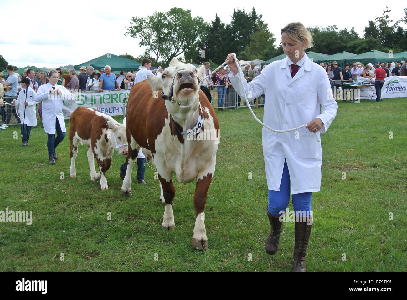 Exhibiting hi-res stock photography and images - Alamy