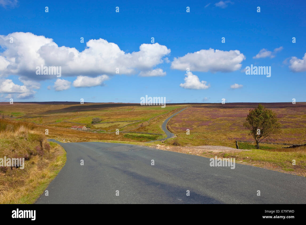 Upland landscape with a rural highway winding over heather covered ...