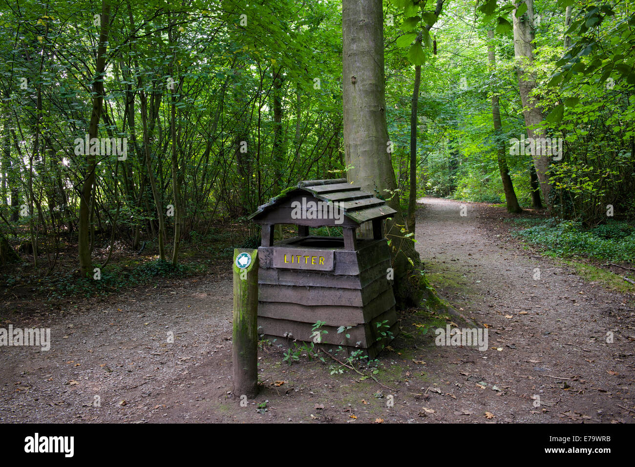 Hall Wood High Resolution Stock Photography and Images - Alamy
