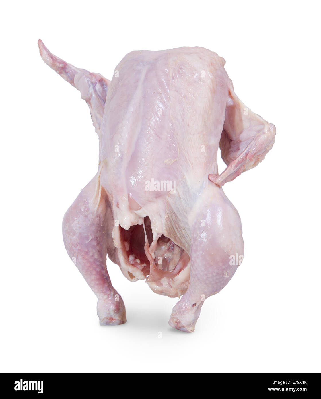 Raw Whole Chicken Standing