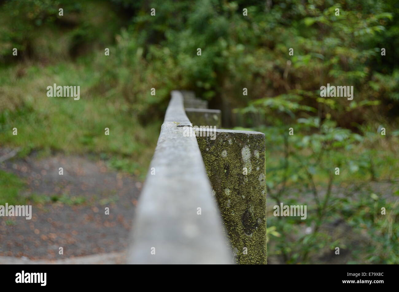 Hand rail of a bridge in the woods Stock Photo - Alamy