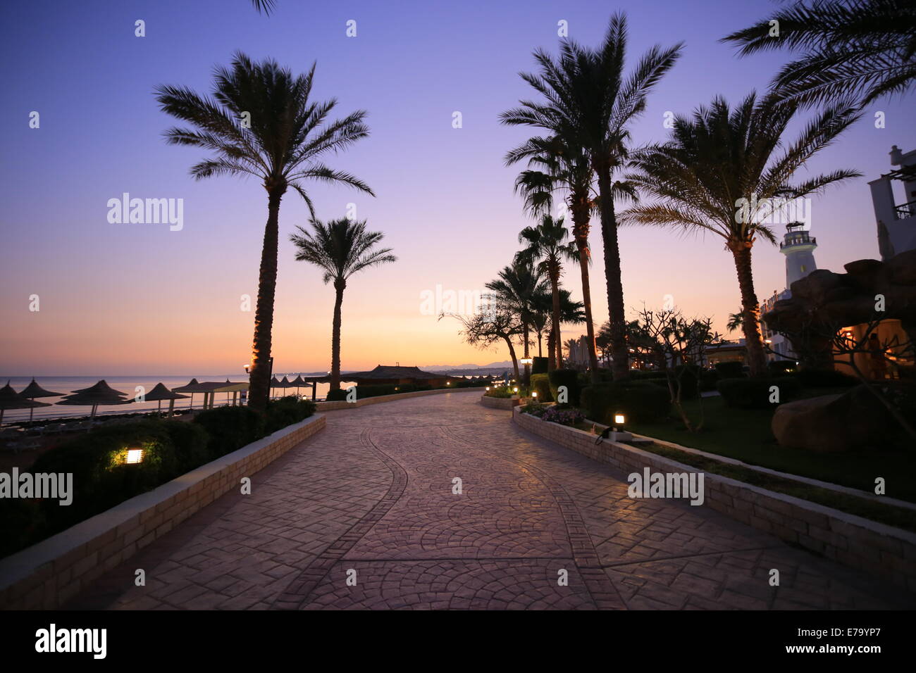 Tropical night sky hi-res stock photography and images - Alamy