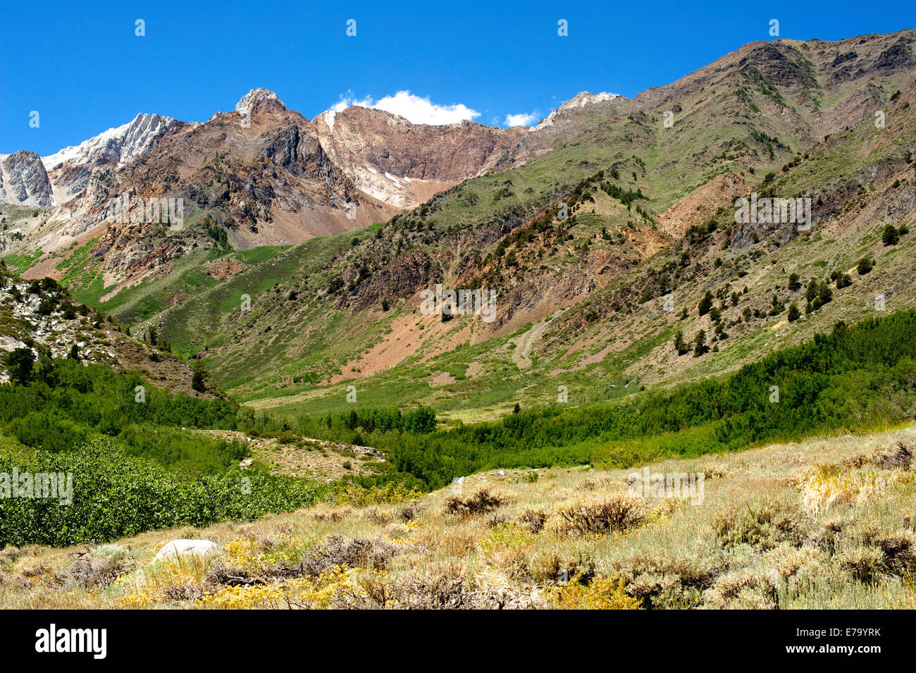 Hiking up McGee Creek Canyon in the California High Sierra Stock Photo - Alamy