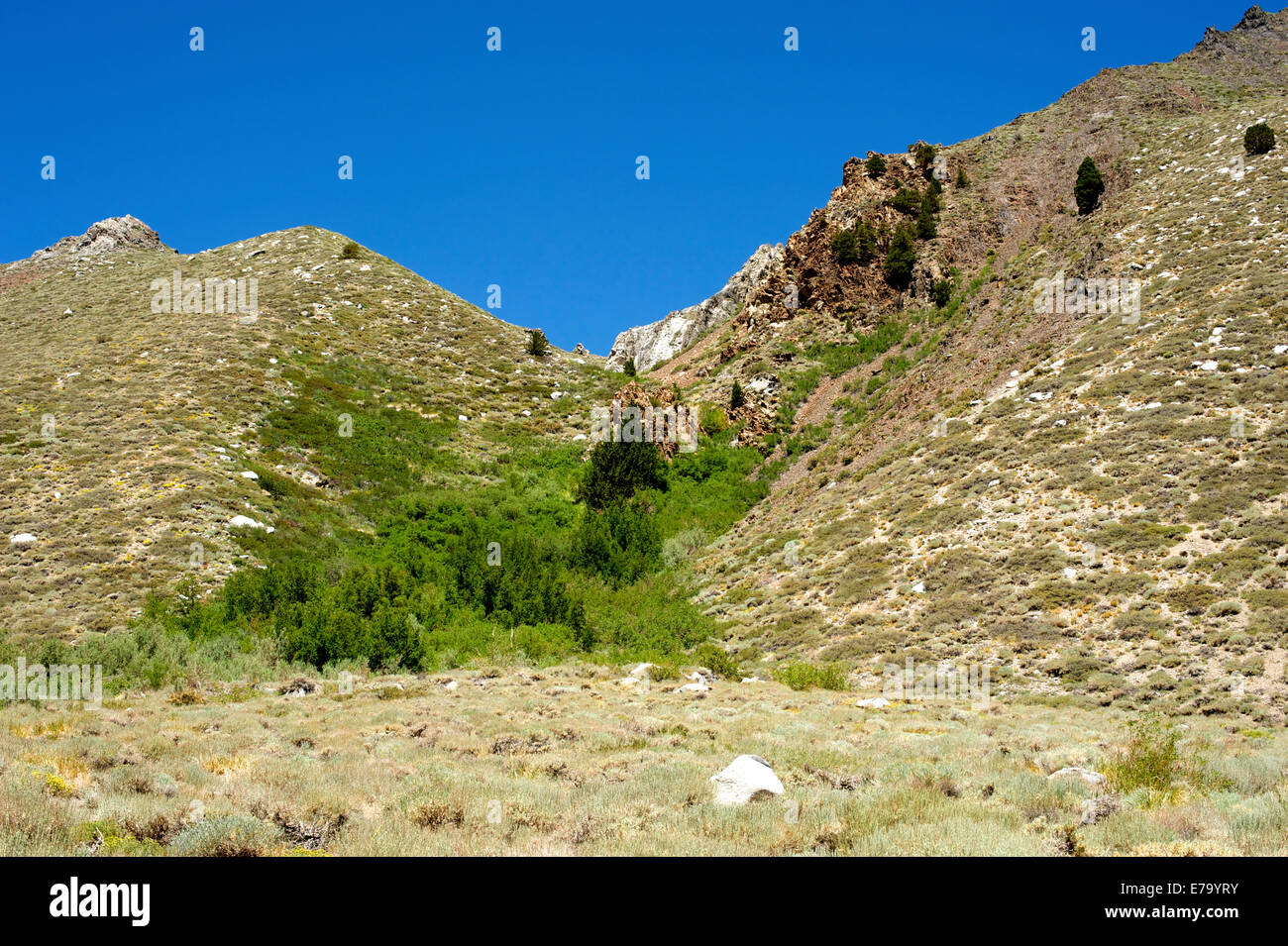 Hiking up McGee Creek Canyon in the California High Sierra Stock Photo - Alamy