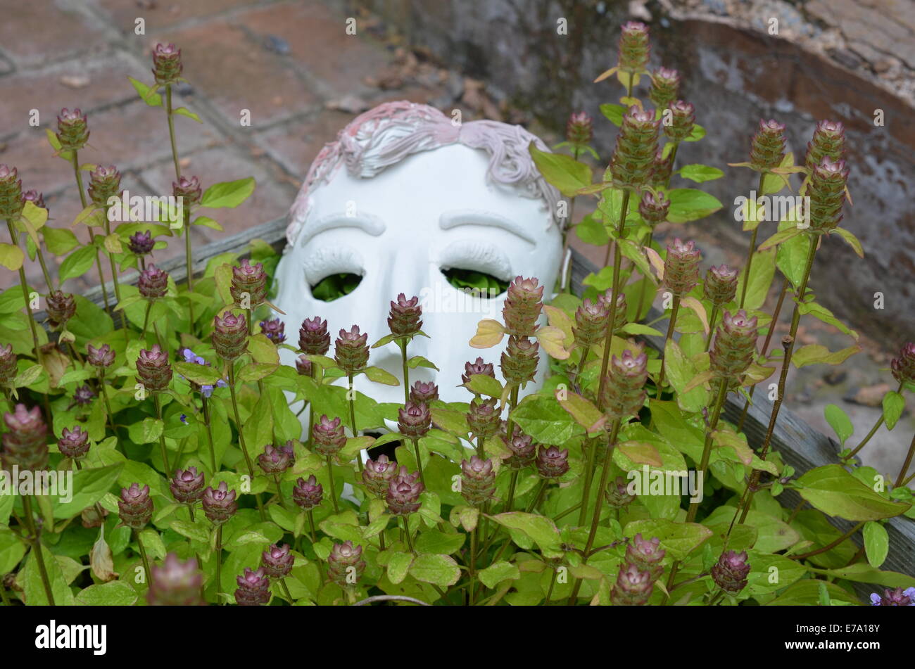 mask in garden Stock Photo - Alamy