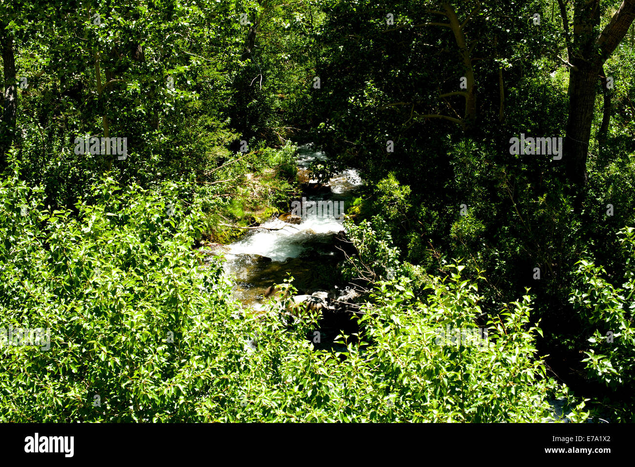 Hiking up McGee Creek Canyon in the California High Sierra Stock Photo - Alamy