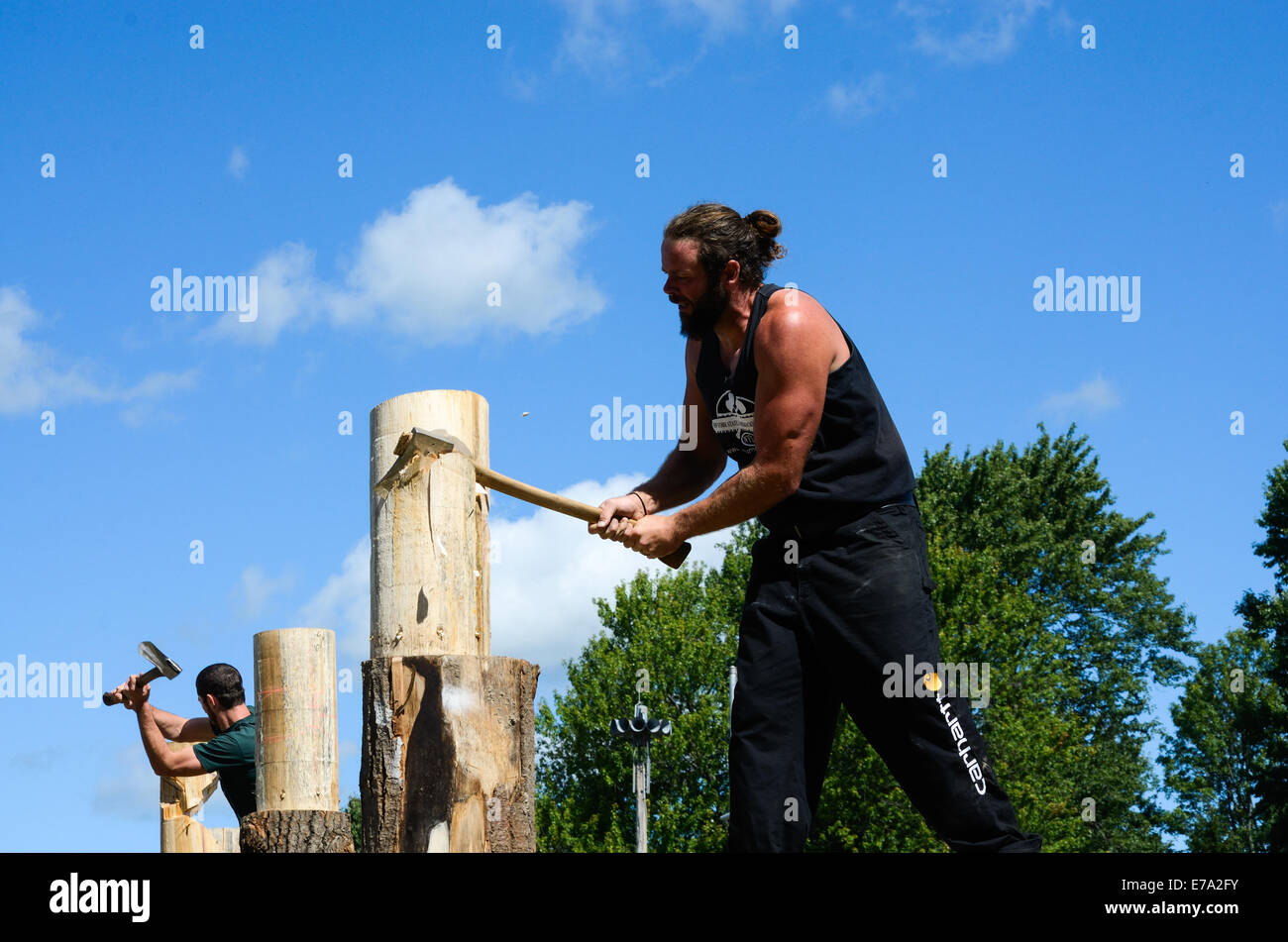 Tree climbing competition lumberjack hi-res stock photography and ...