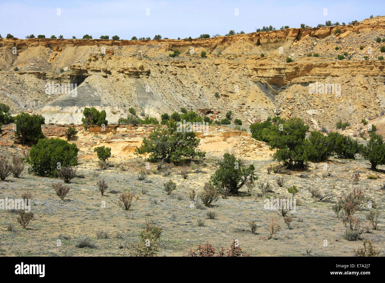 Yellow sandstone formations and green junipers in New Mexico wilderness ...