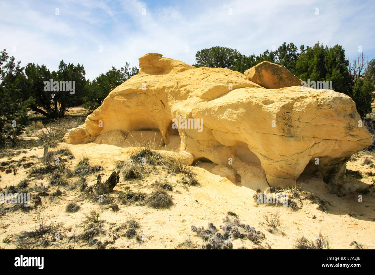 New mexico wilderness hi-res stock photography and images - Alamy