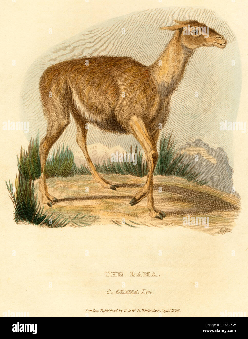 G b whitaker hi-res stock photography and images - Alamy