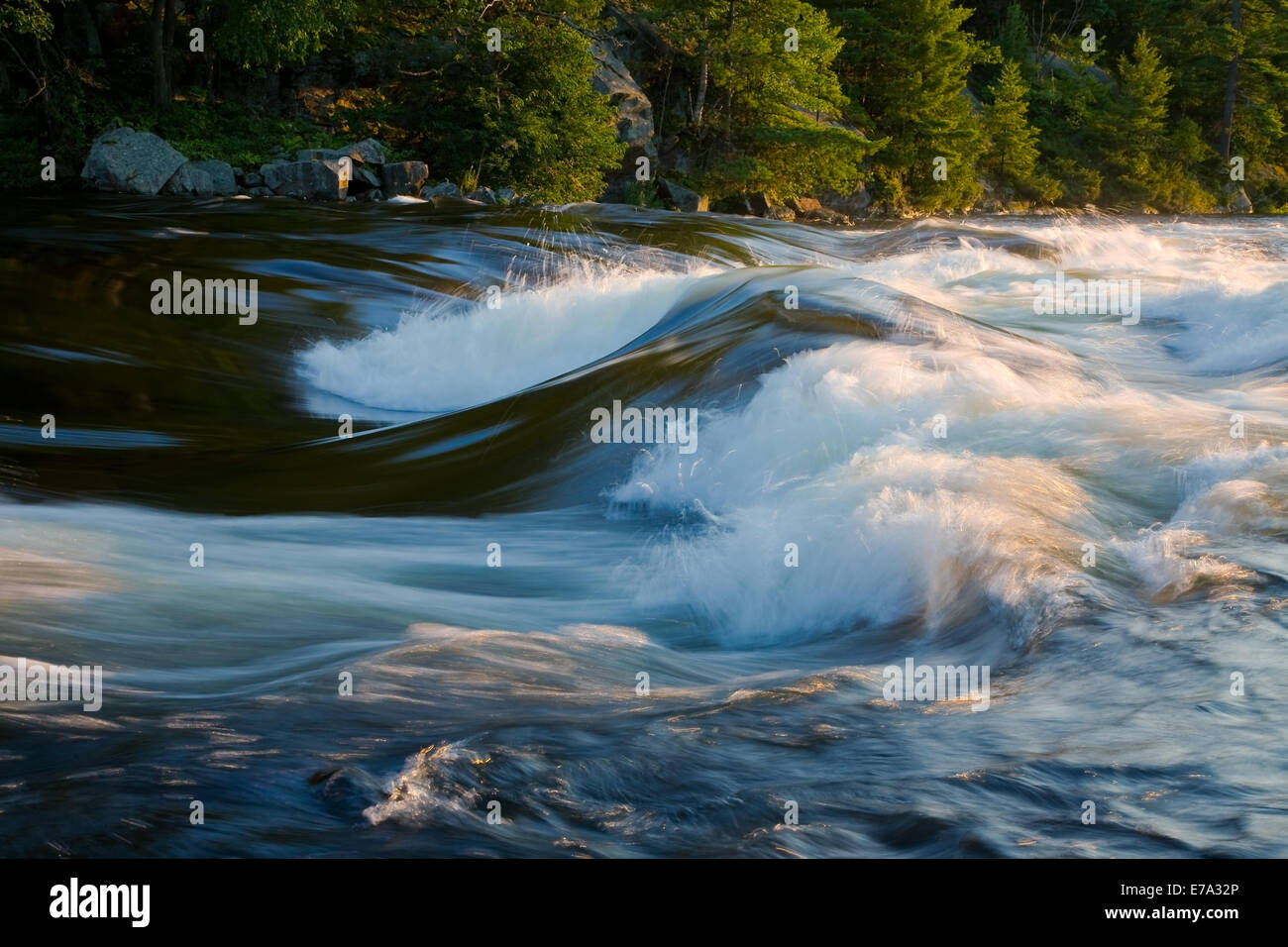 Fast streaming river in the woods at sunset. Water is in motion blur ...