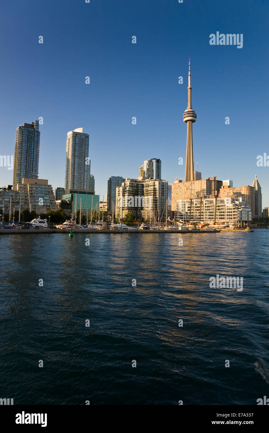 View of downtown Toronto from the lake Ontario Stock Photo - Alamy