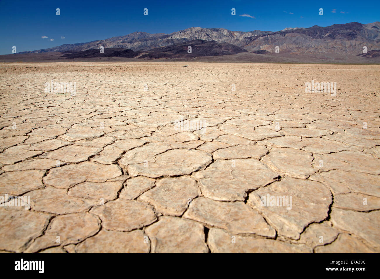 Dried mud in salt Pan, Panamint Valley, and Argus Range, Death Valley National Park, Mojave ...