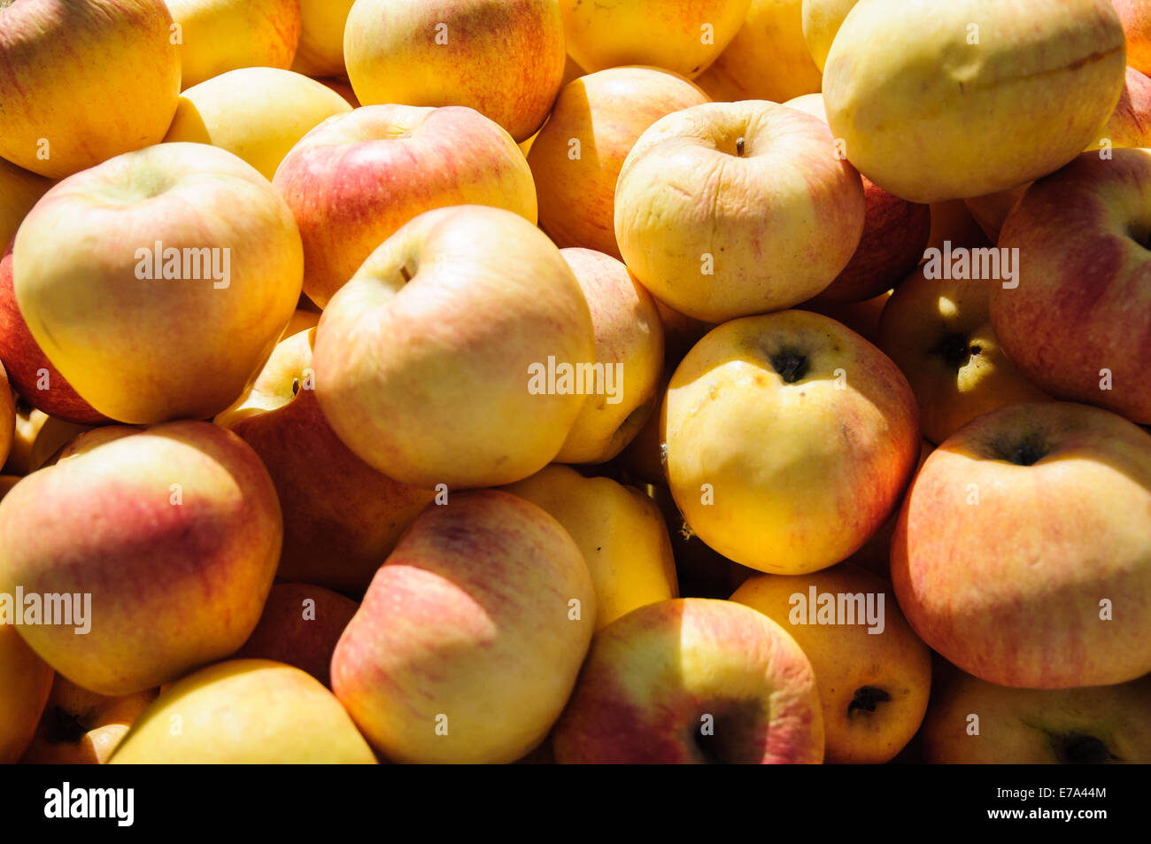 Yellow and red apples in an outdoor market in China Stock Photo - Alamy