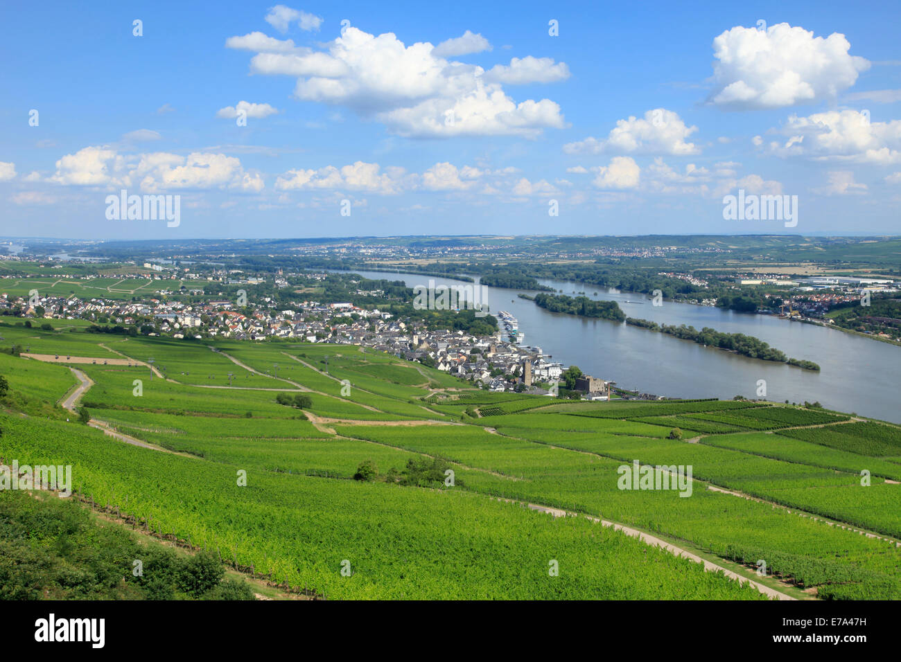 Vineyards in the Rhine River Valley Germany Stock Photo - Alamy