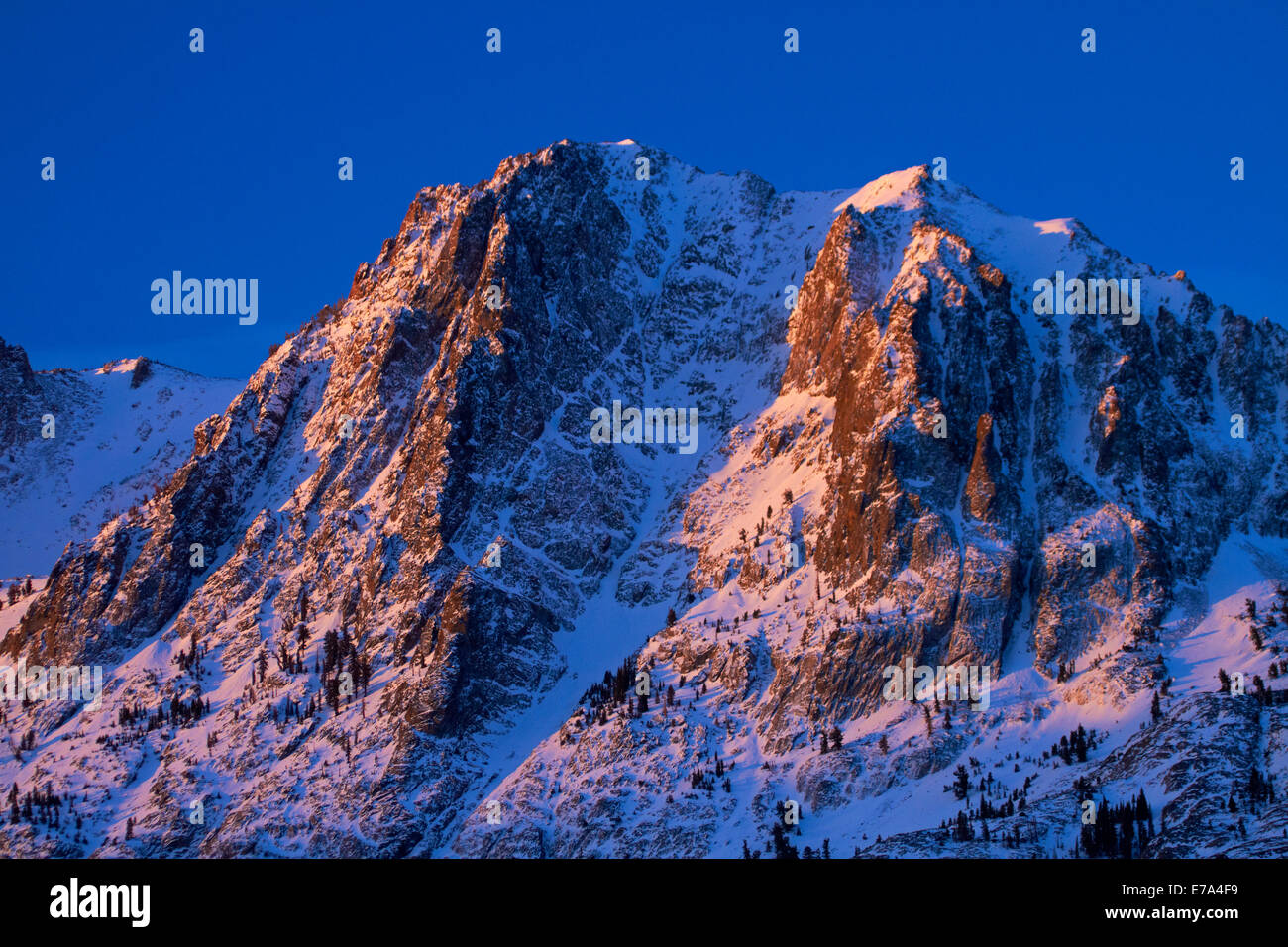 Alpenglow on Carson Peak (3324m / 10908ft), above Silver Lake, near ...