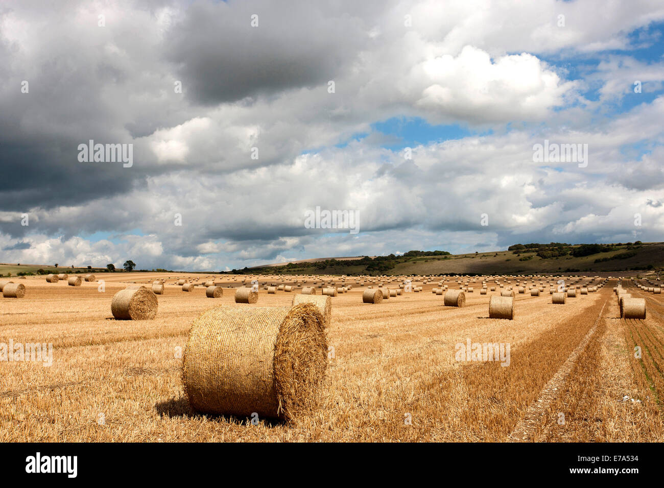 Bales of Autumn hay Stock Photo - Alamy