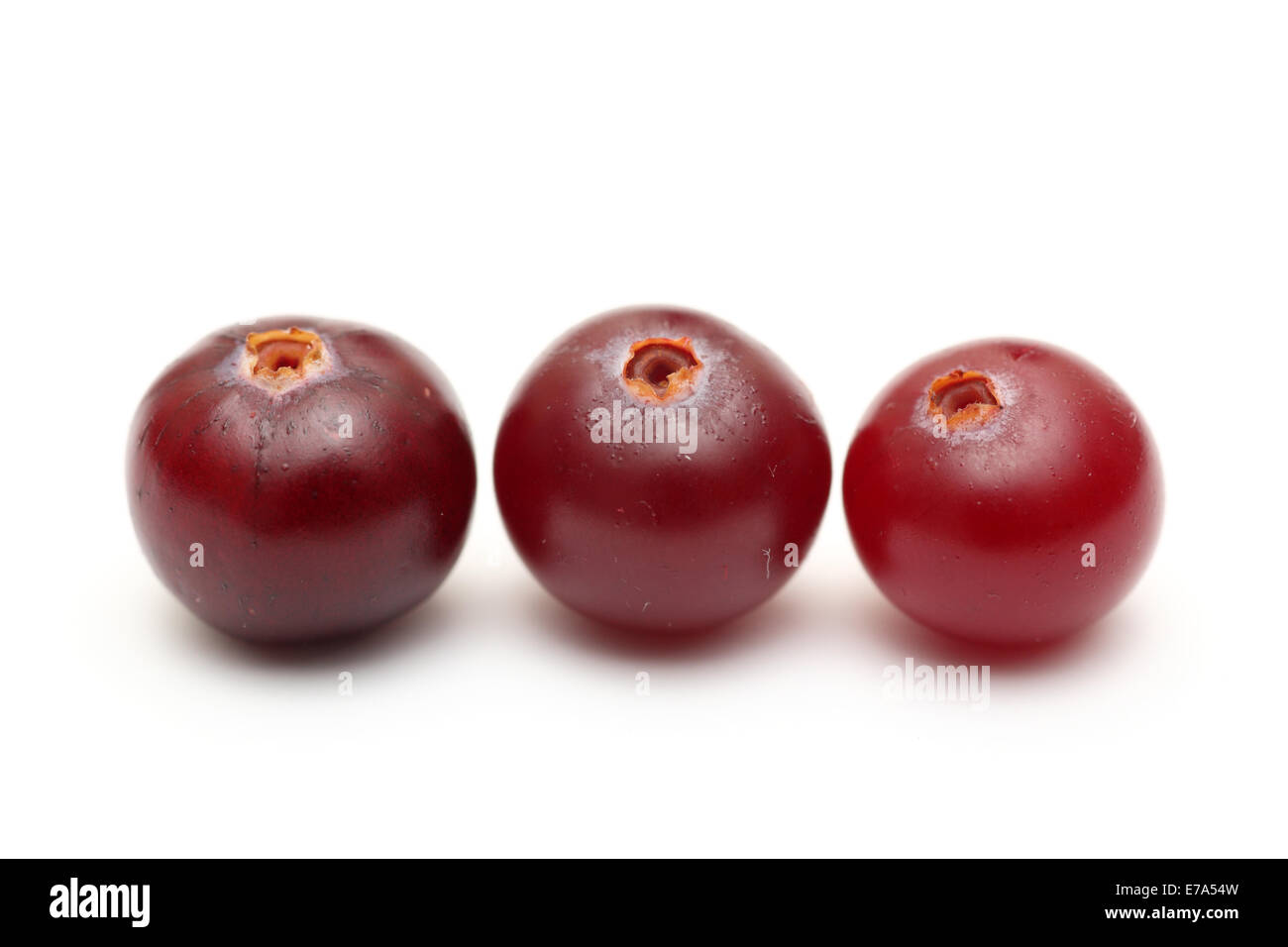 Three cranberries on white background. Close-up Stock Photo - Alamy