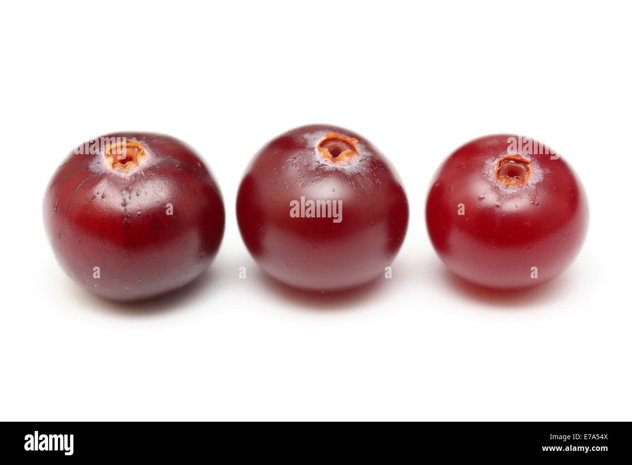 Three cranberries on white background. Close-up Stock Photo - Alamy