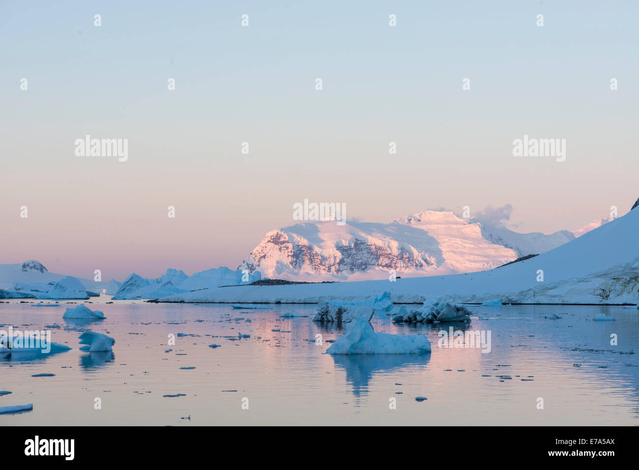 Antarctic summer twilight Stock Photo - Alamy