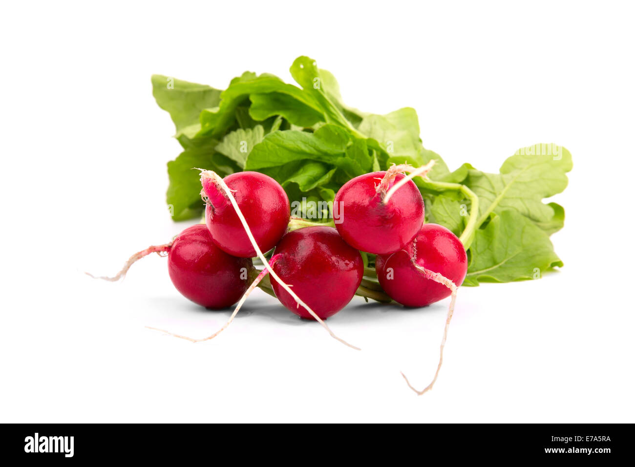 Fresh red radish isolated on white background Stock Photo - Alamy