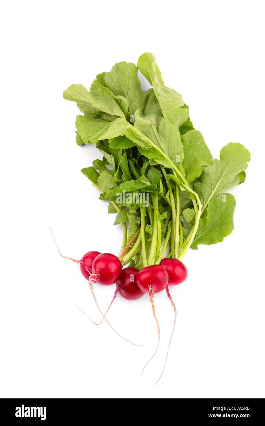 Fresh red radish isolated on white background Stock Photo - Alamy