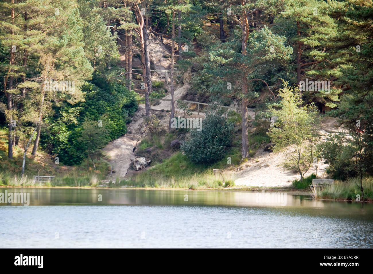 Blue pool hi-res stock photography and images - Alamy