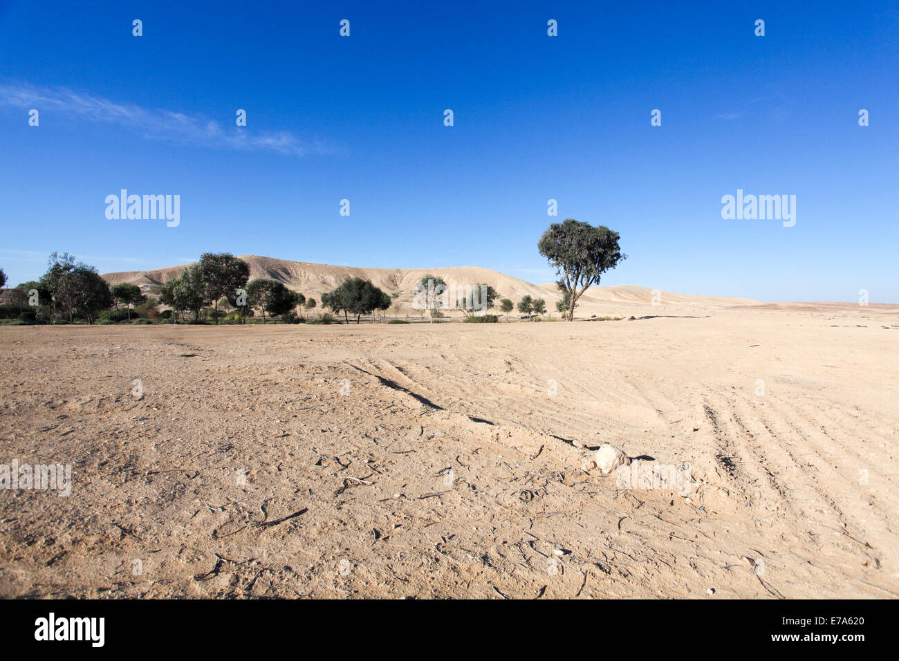 Israel negev desert hi-res stock photography and images - Alamy