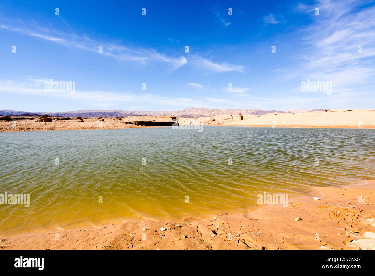Israel, lake in Yeruham park in the Negev Desert Stock Photo - Alamy