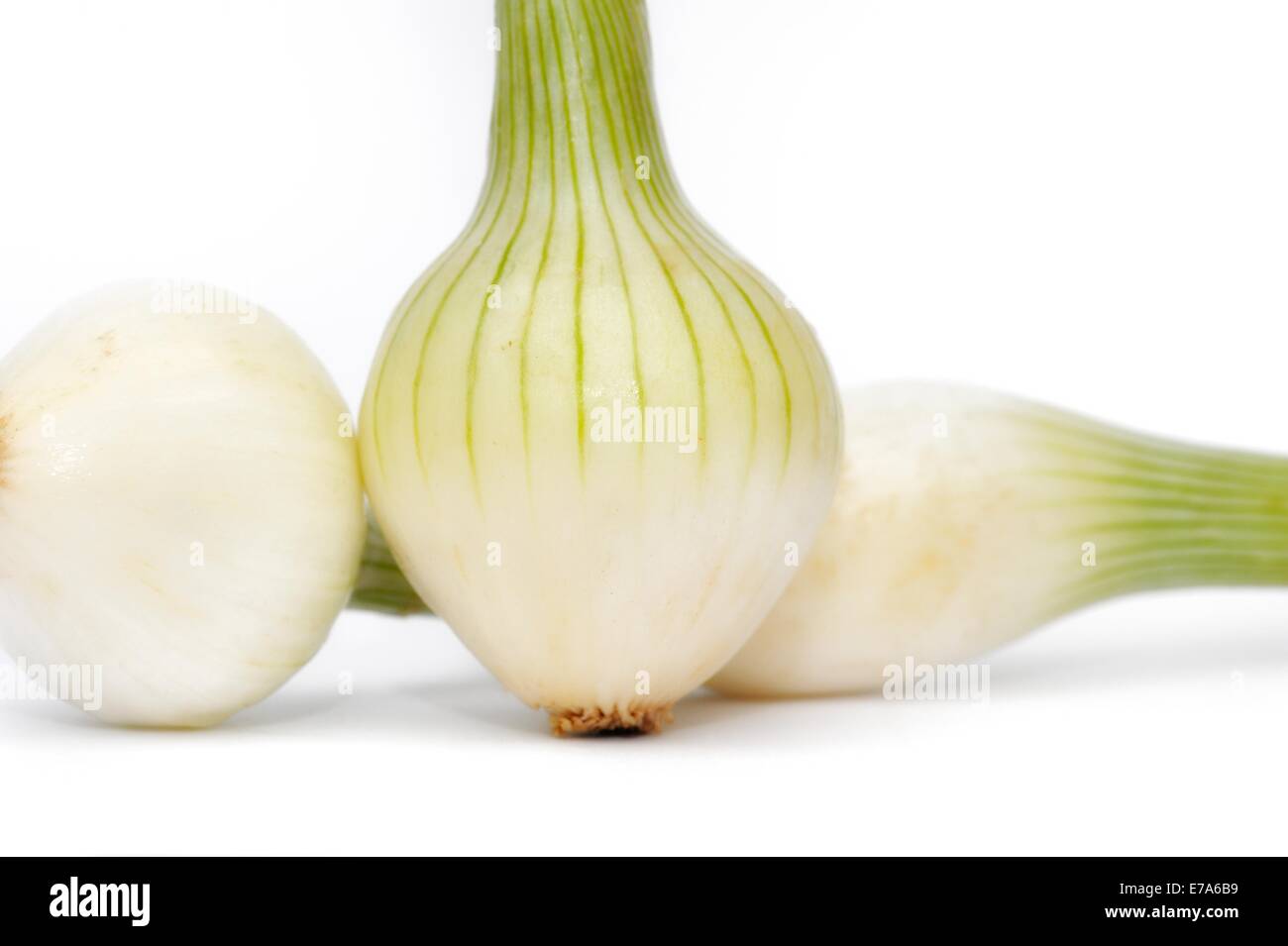 A bunch of spring onions Stock Photo - Alamy