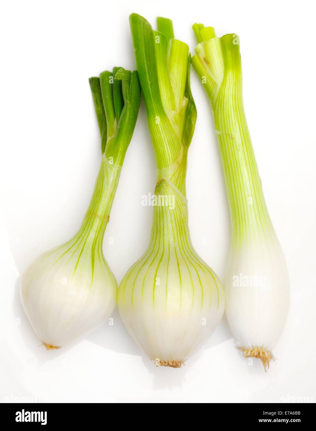 A bunch of spring onions Stock Photo - Alamy