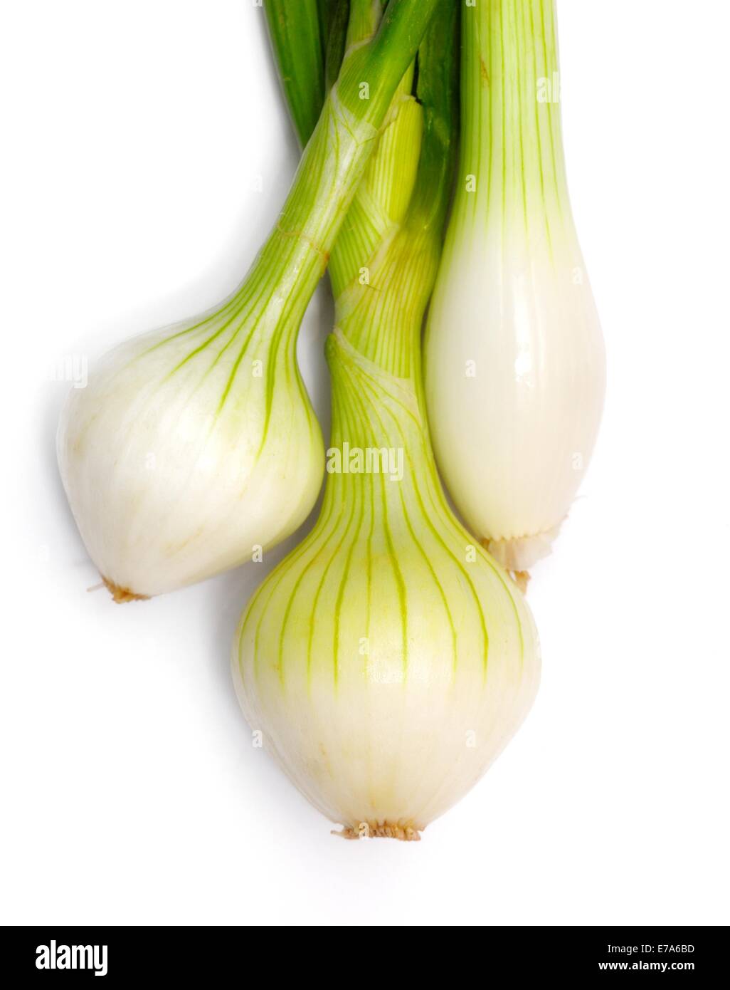 A bunch of spring onions Stock Photo - Alamy