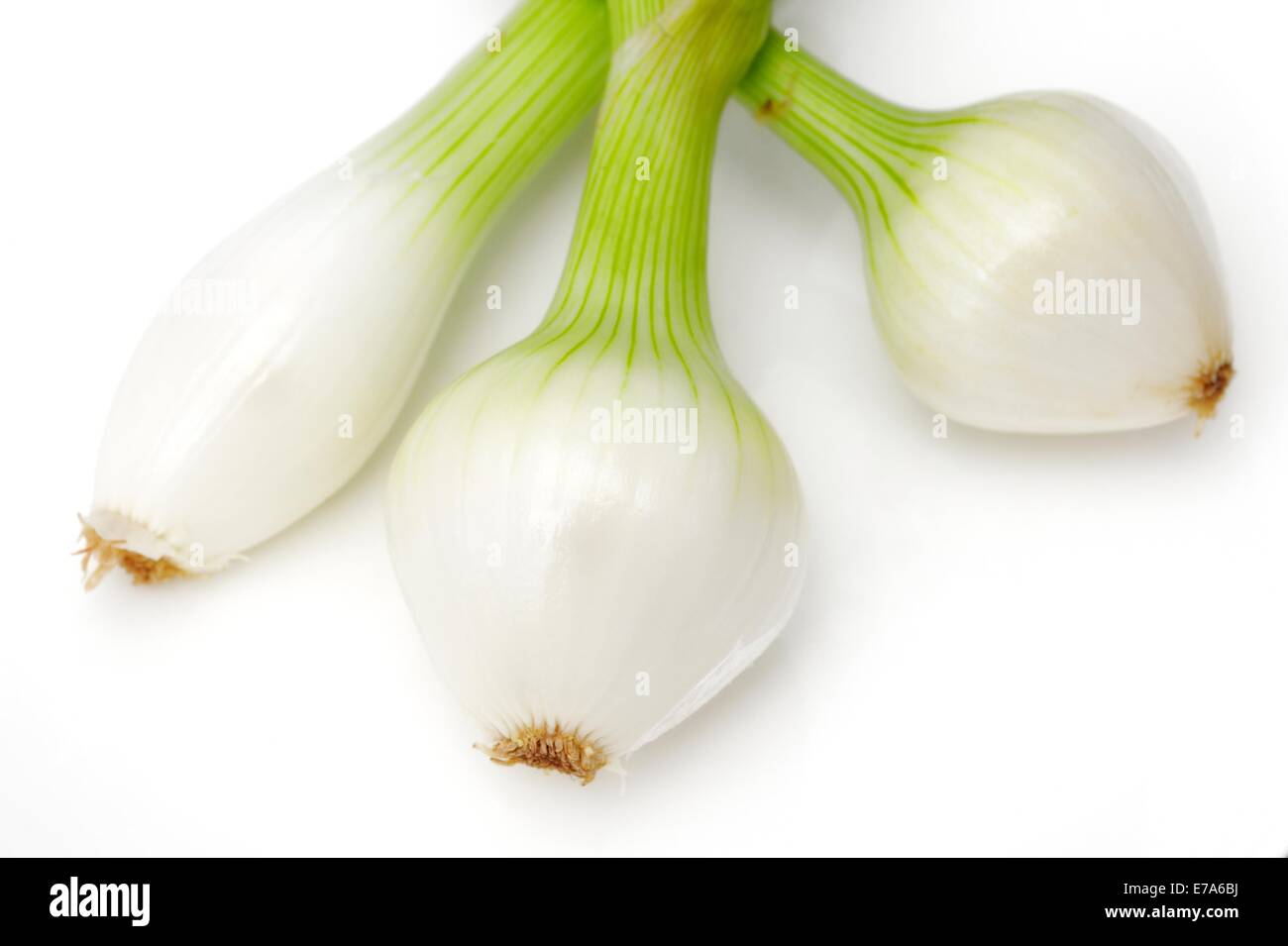 A bunch of spring onions Stock Photo - Alamy