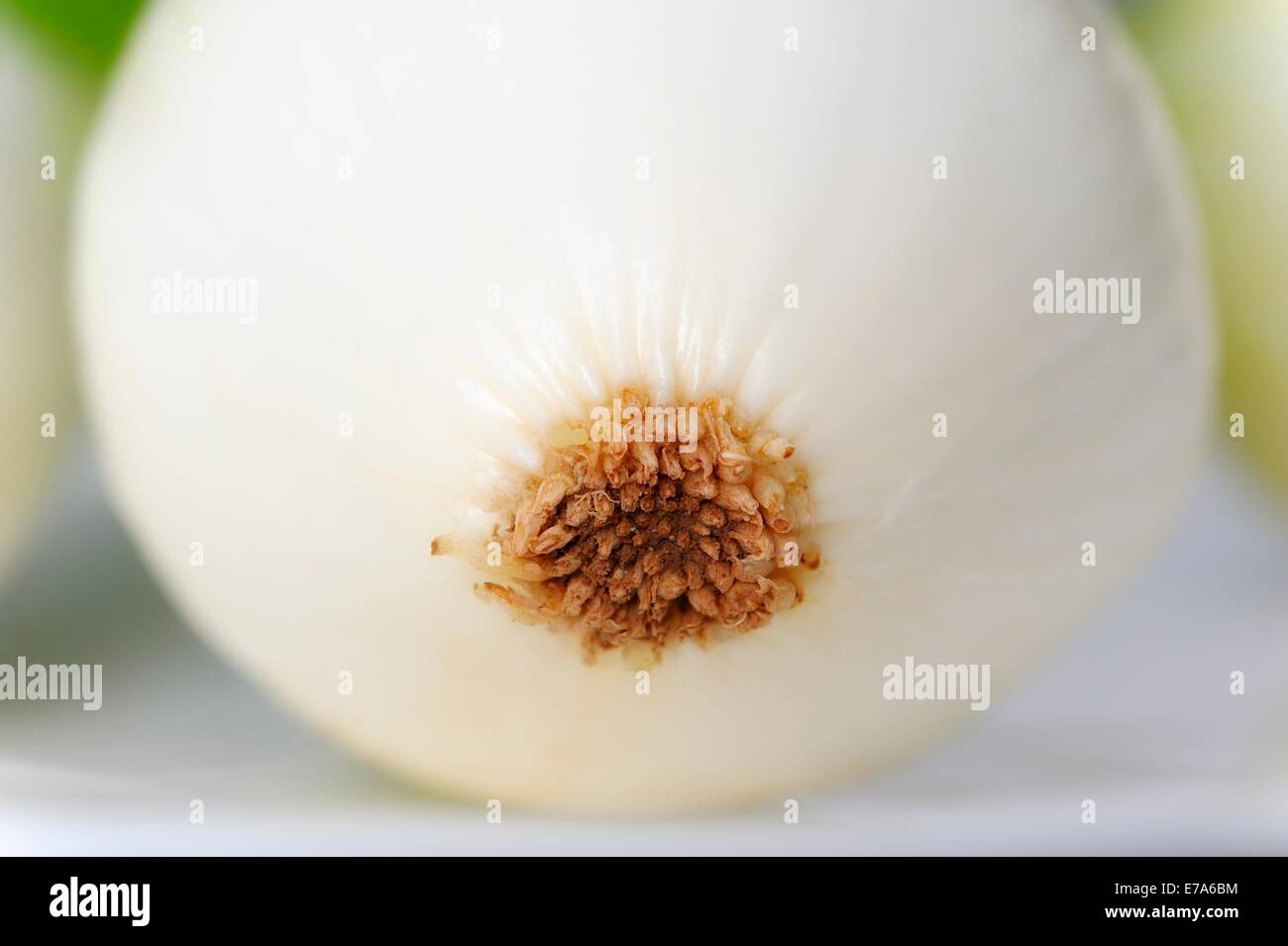 Onion macro hi-res stock photography and images - Alamy